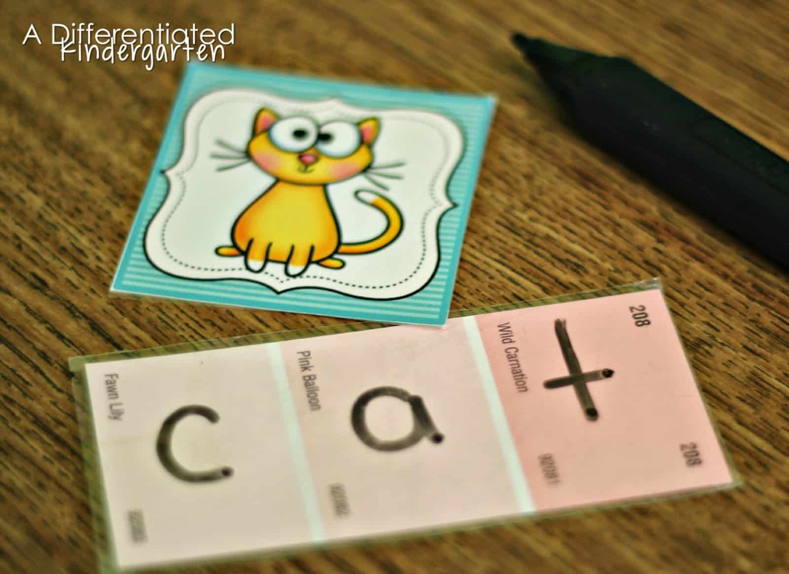 Ingredients For Successful Word Family Instruction - Differentiated ...