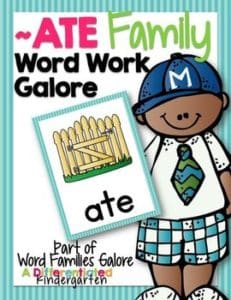 ATE Word Family Word Work Galore-Differentiated and Aligned ...